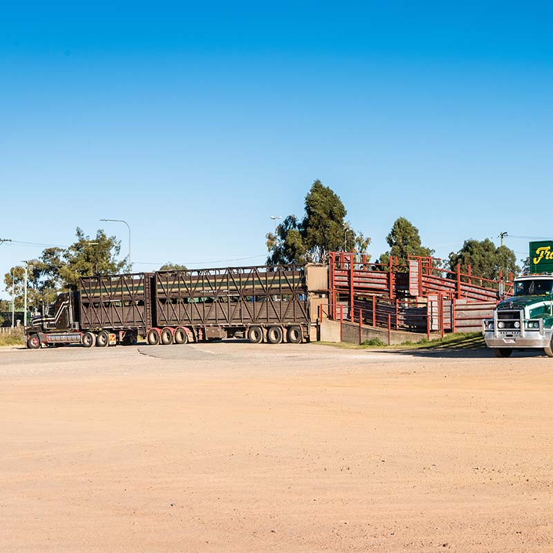 Warwick Saleyards - Southern Downs Regional Council