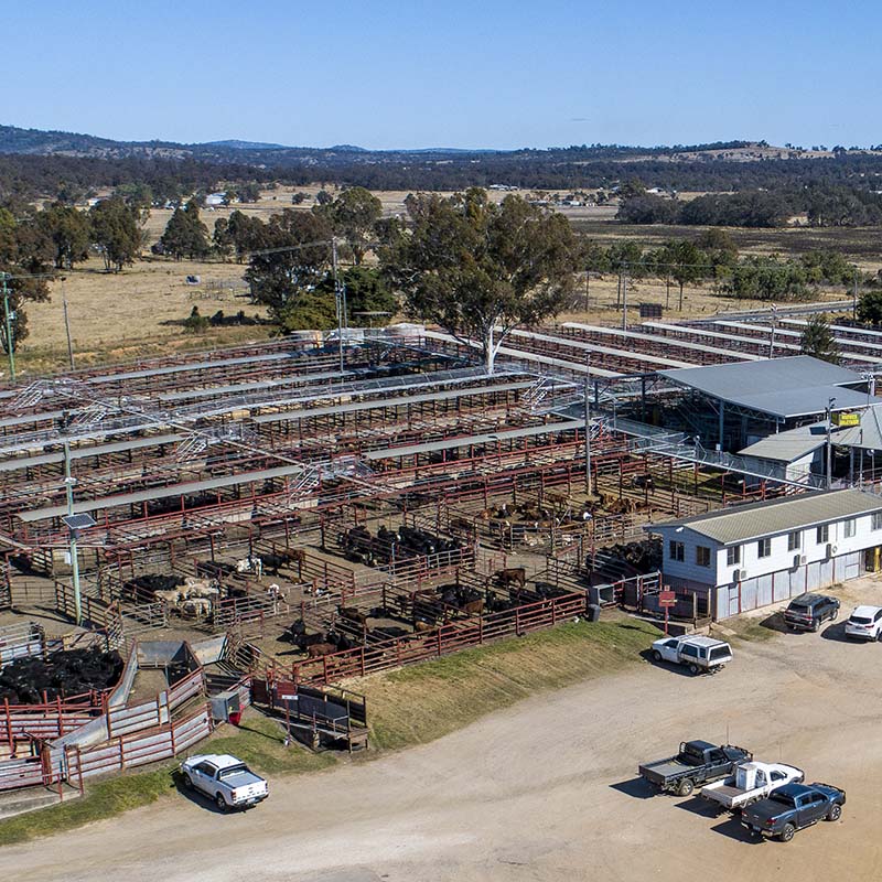 Warwick Saleyards - Southern Downs Regional Council