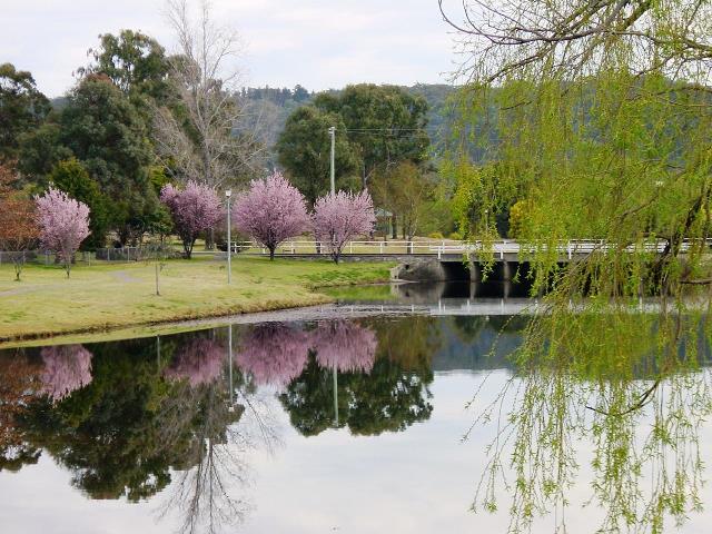 Stanthorpe - Southern Downs Regional Council